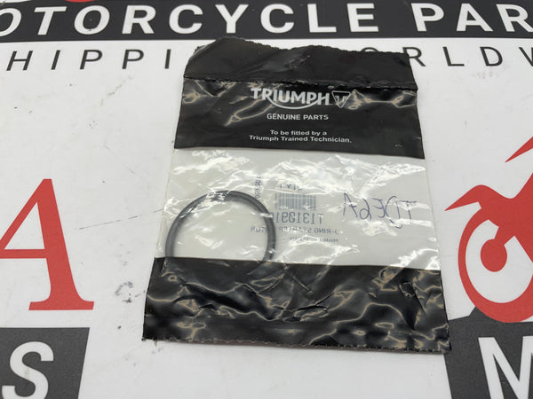 TRIUMPH AMERICA, BONNEVILLE, SCRAMBLER, SPEEDMASTER, THRUXTON O-Ring T ...